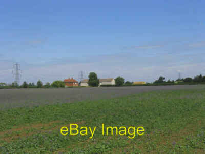 Photo 6x4 Fields of blue - Patten's Farm West Hanningfield Not sure ...