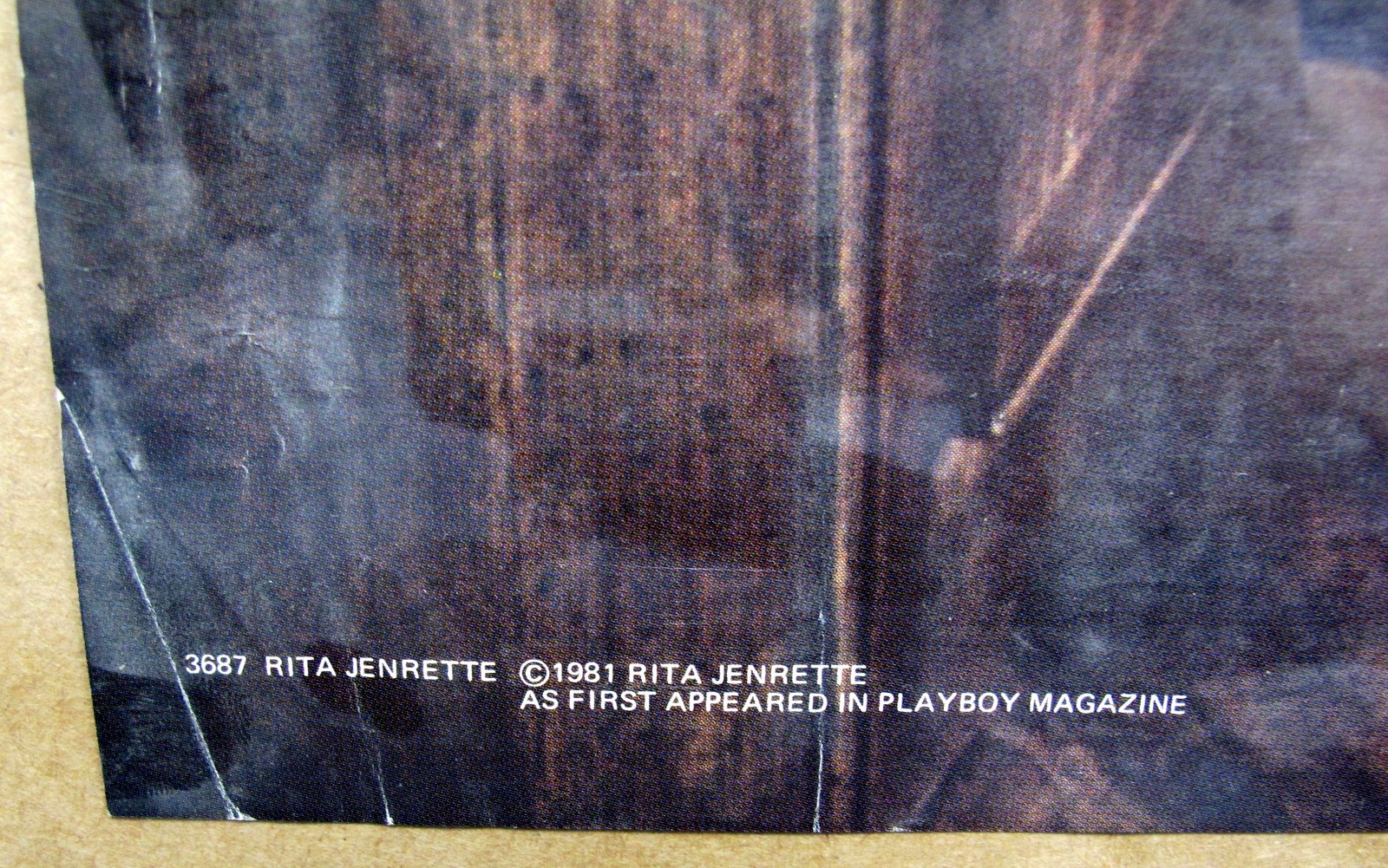 Vintage Congressman's Wife Rita Jenrette Poster #3687 April 1981 ...