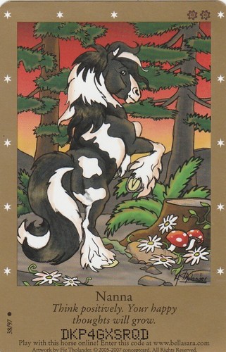 CARTE CARD BELLA SARA COLLECTION 2005 - 2007 - 38/97 NANNA | eBay