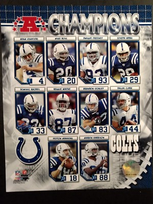 INDIANAPOLIS COLTS 2006 AFC CHAMPIONS 8X10 Composite Photo | eBay