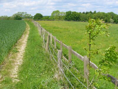 Photo 12x8 Footpath on Telegraph Hill Binstead/SU7741 On the left is a ...