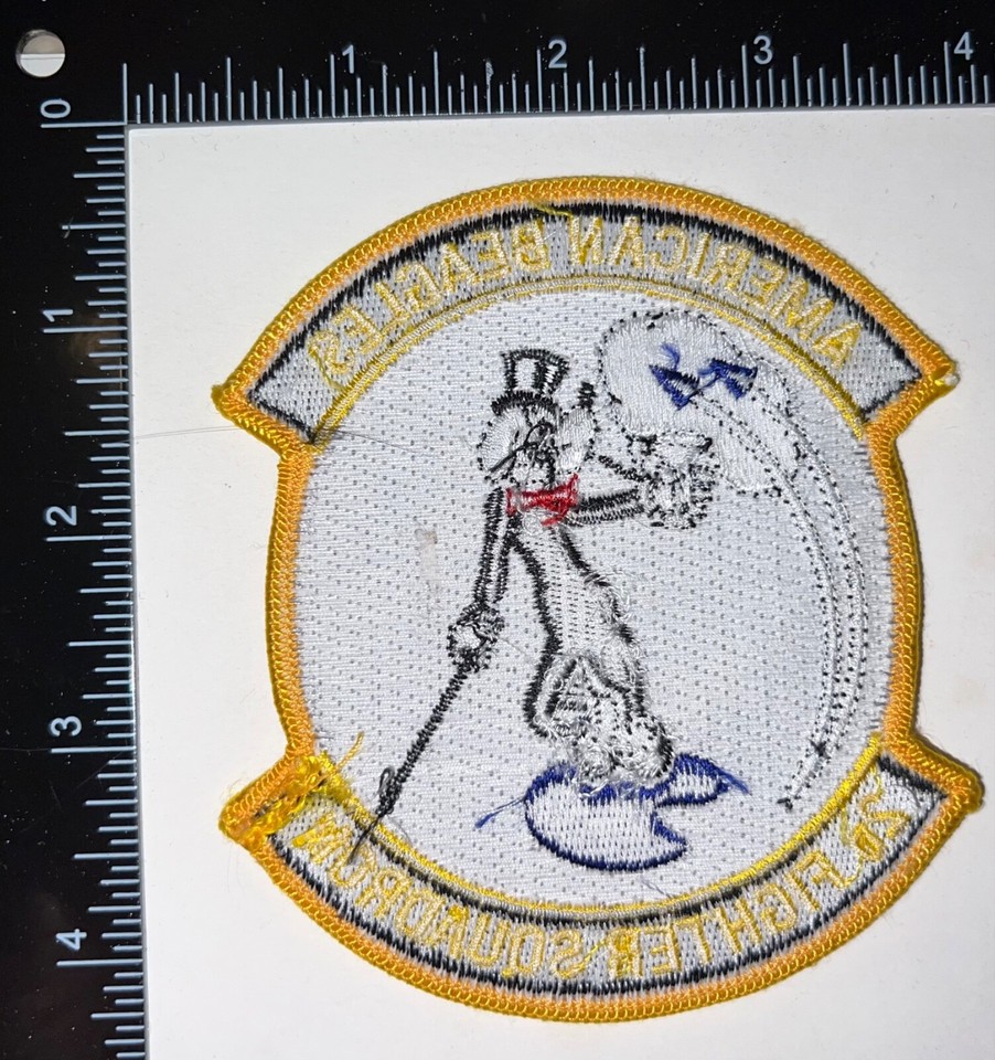 USAF US Air Force 2nd Fighter Squadron Patch | eBay