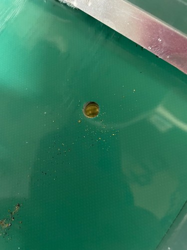 Martin Fine Gold Clean Up Miller Water Table The BEST | eBay