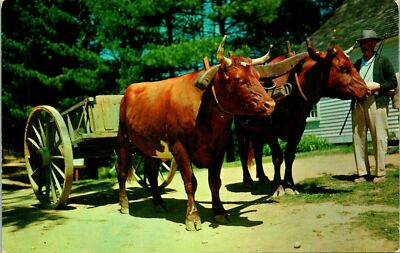 Devon Steers Pulling Blacksmith Cart Postcard unused (24256) | eBay