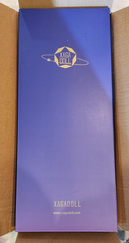 XAGA DOLL 2025 ANIME Conjoined Twins DOLL BODY 16" *BRAND NEW* RARE | eBay