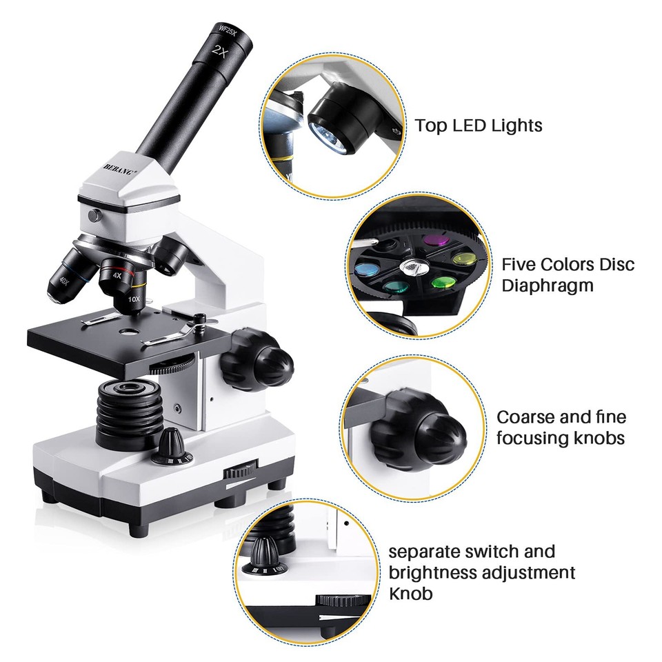 Microscope , 100X-2000X BEBANG Compound Microscope with Microscope ...