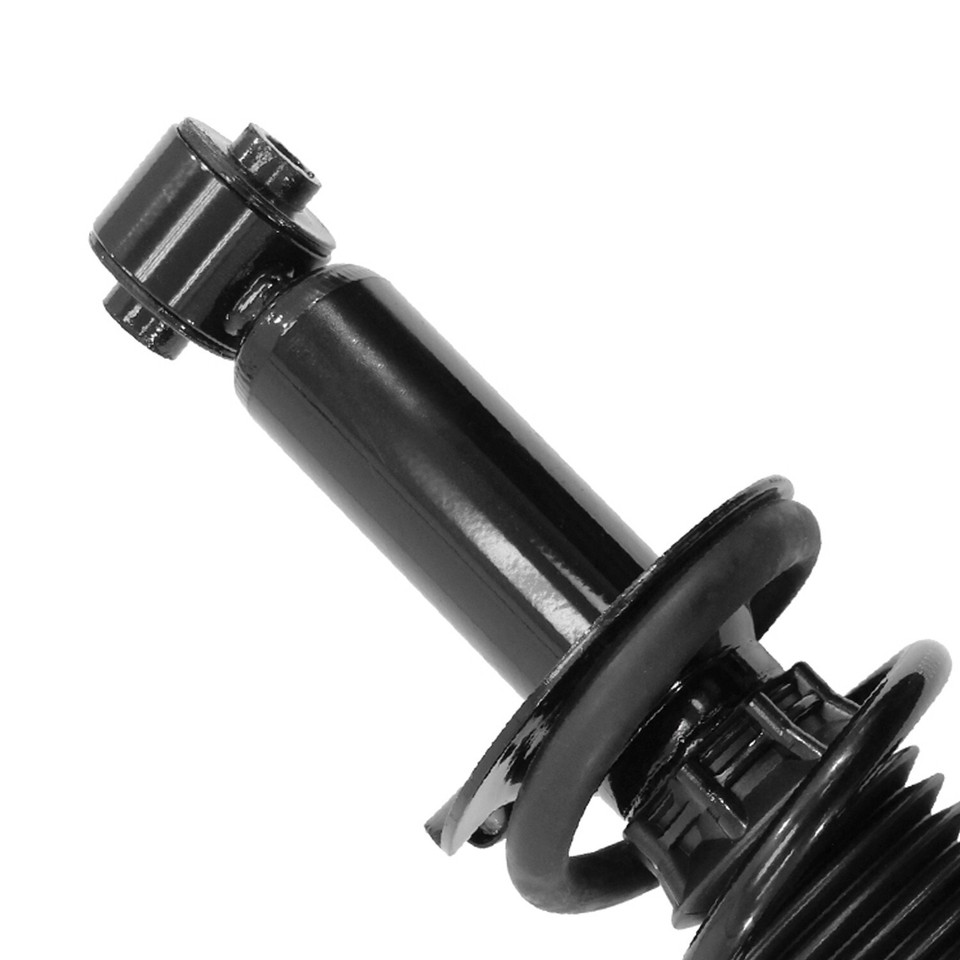 Pair Rear Struts w/ Coil Spring Assembly Set for 2015 2016 2017 Subaru ...