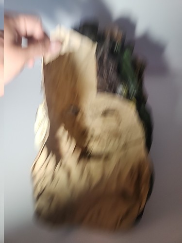 WOOD MONSTER LATEX MASK TALKING TREE FACE TREANT ENT DRYAD HALLOWEEN ...