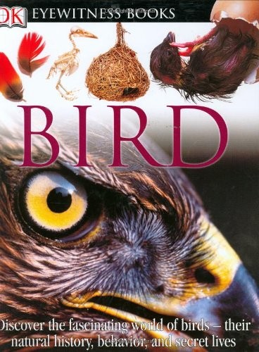 BIRD (DK EYEWITNESS BOOKS) By David Burnie - Hardcover *Excellent ...