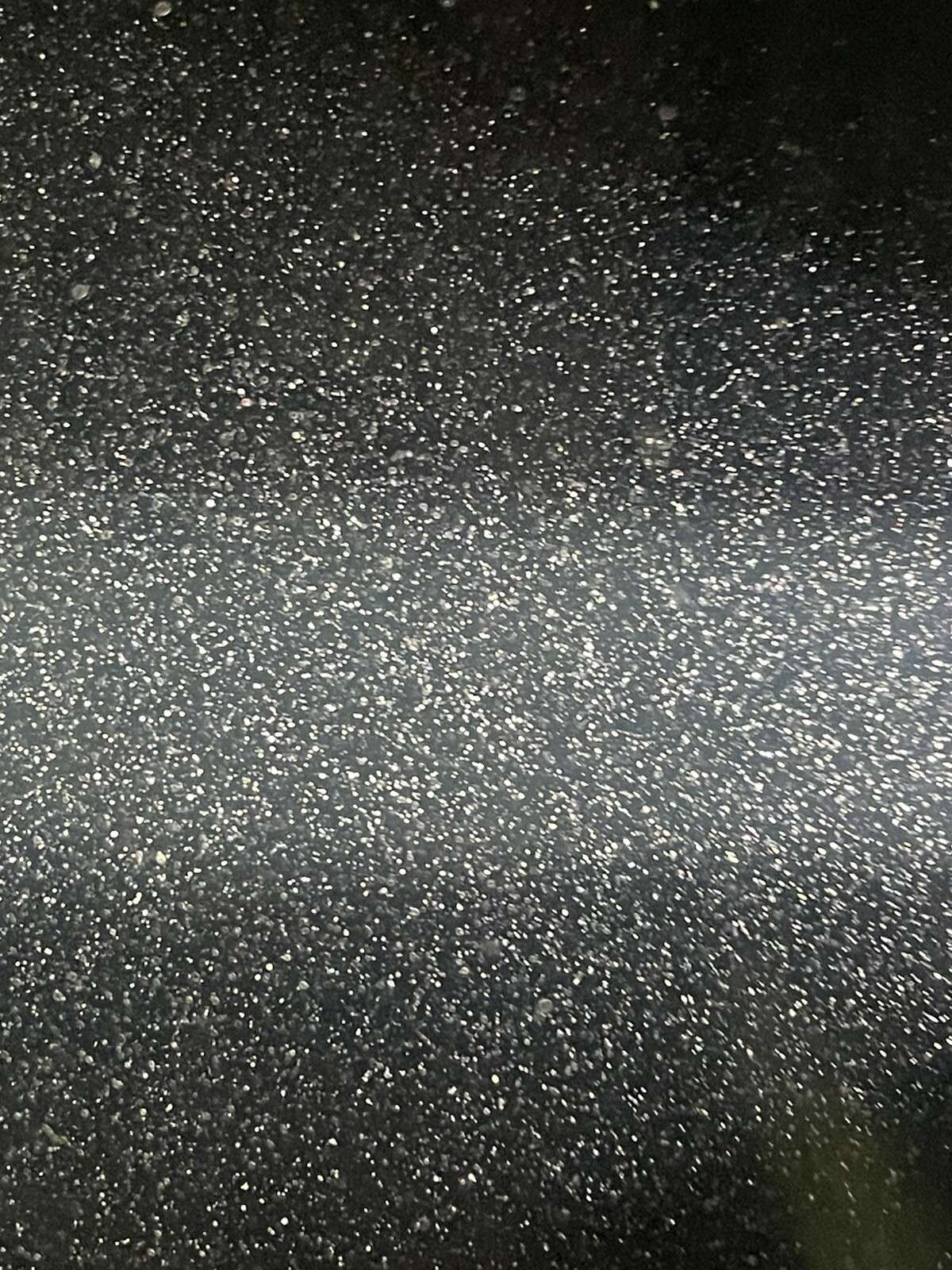 4 BOTTLES OF LIVE COPEPODS TISBE TIGGER APEX PODS AND 2 BOTTLE OF ...