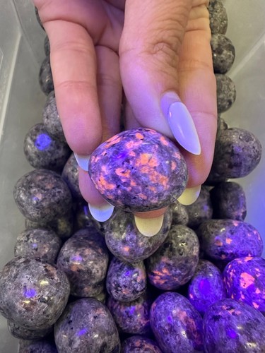 Yooperlite Tumbled Stone, Natural Yooperlite from Lake Superior, USA | eBay