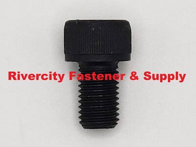 (5) M10-1.25x16 Socket Allen Head Cap Screw Fine Thread 10mm x 16mm ...