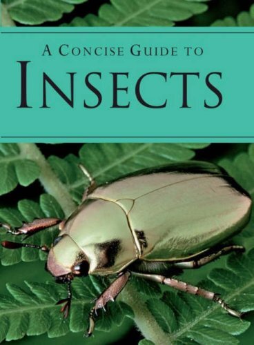 Concise Guide to Insects by Parragno Hardback Book The Fast Free ...