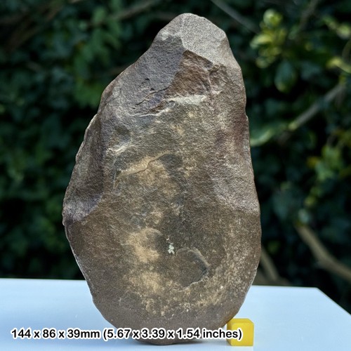 Rare Large Neolithic Stone Axe Head France – Authentic Prehistoric ...
