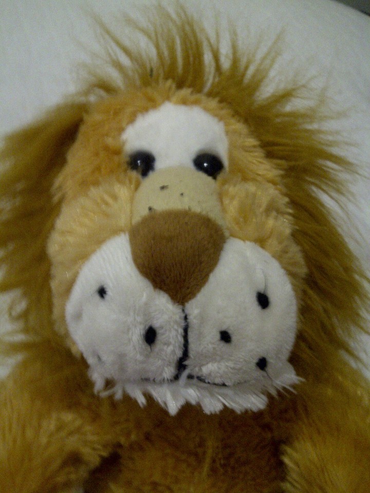 Woolbro Company LION Cuddly Soft Hand Glove Puppet Plush Toy 13" | eBay UK