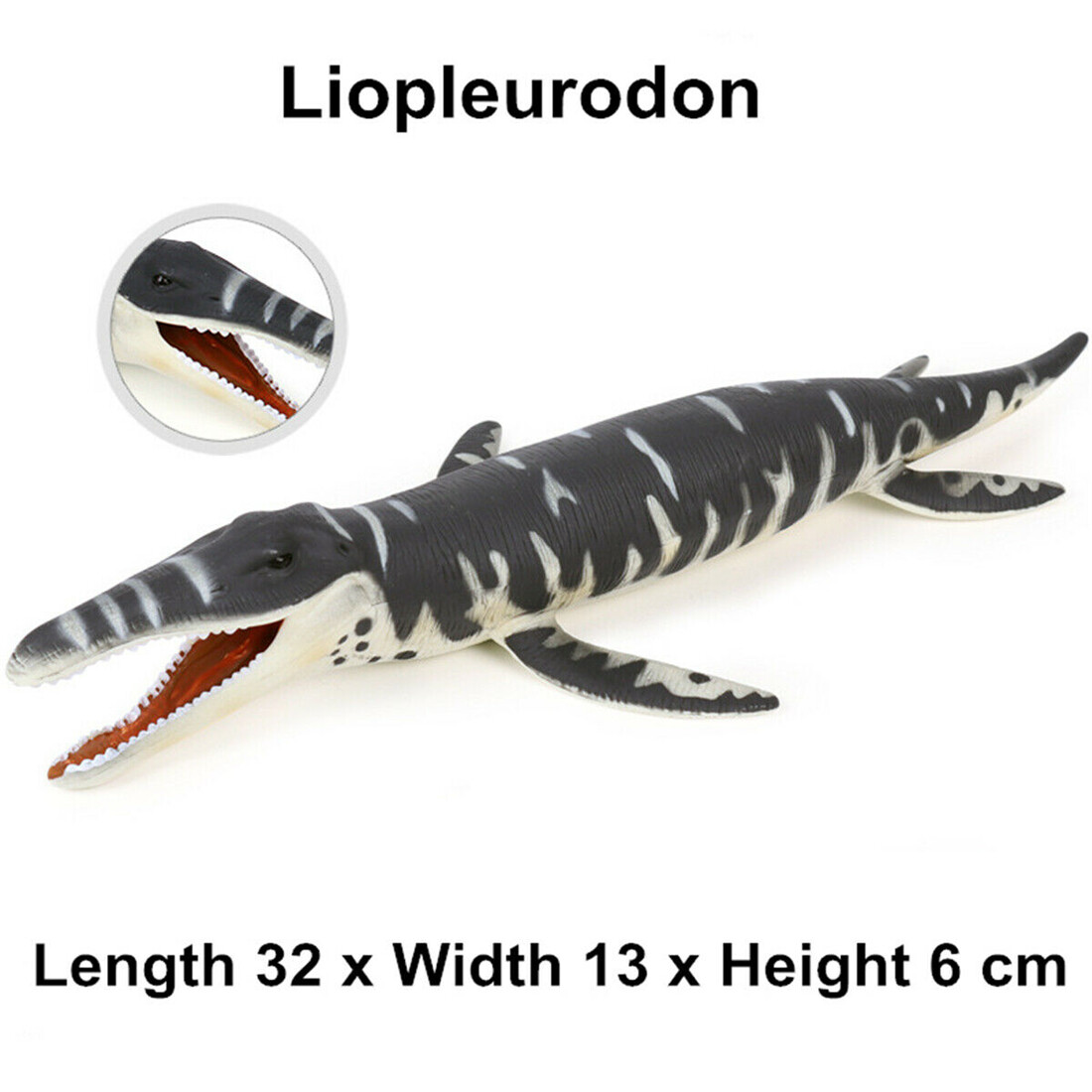 Liopleurodon Size Chart Women's & Men's Clothing, Shop Online Fashion