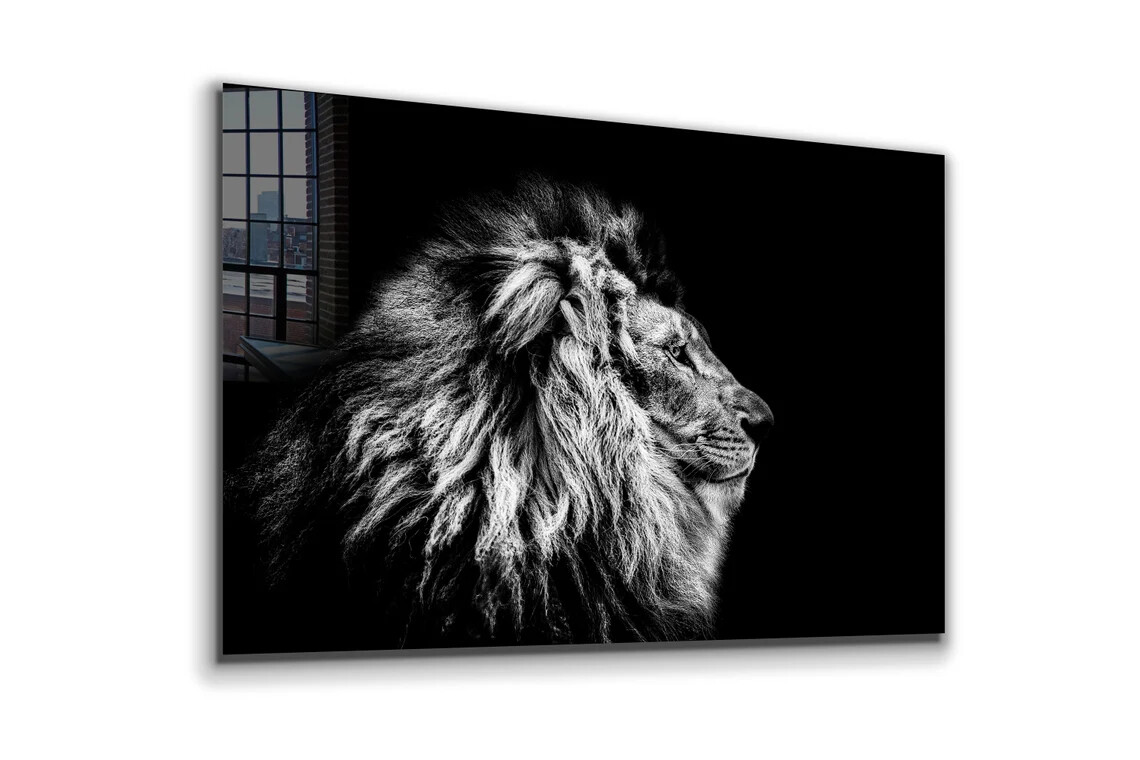 Lion B&W Side View Tempered Glass Printing Wall Art Australian Made ...