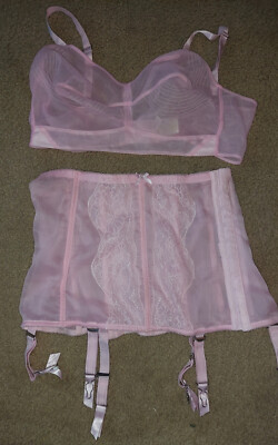 Secrets In Lace Pink Sheer Waist Chicher Girdle Garters Bullet Bra Set ...