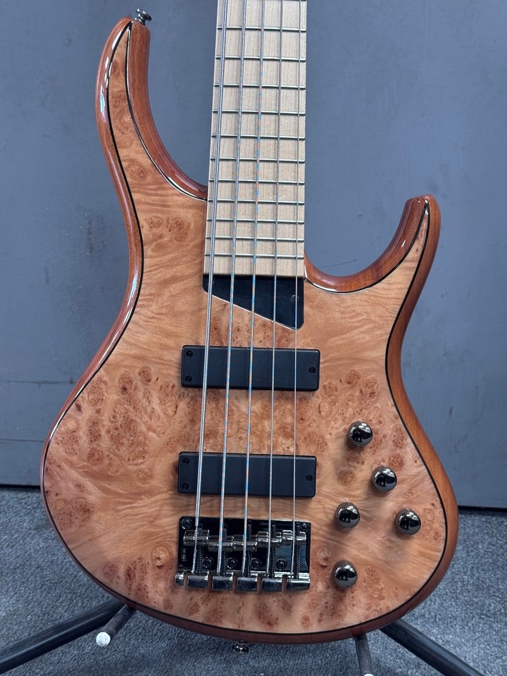 MTD KINGSTON Z 5 STRING ELECTRIC BASS GUITAR MINT CONDITION WITH MONO ...