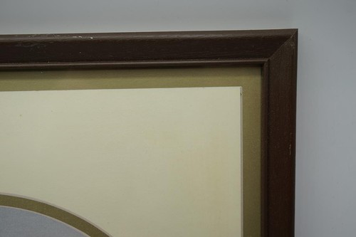 Framed Hummingbird Print John Cheng ~ 12x16 | eBay