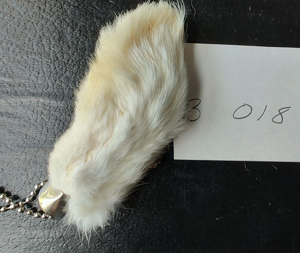Real Natural Lucky Rabbit Foot Keychain with nails white mixed color ...
