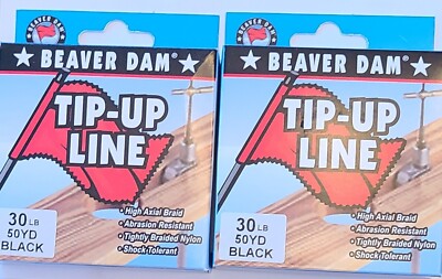 Ice Fishing - Beaver Dam Tip