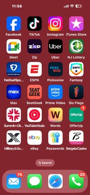 Tik Tok iPhone 15 Pro Max UNLOCKED With Tik Tok and Not Even A Scratch ...