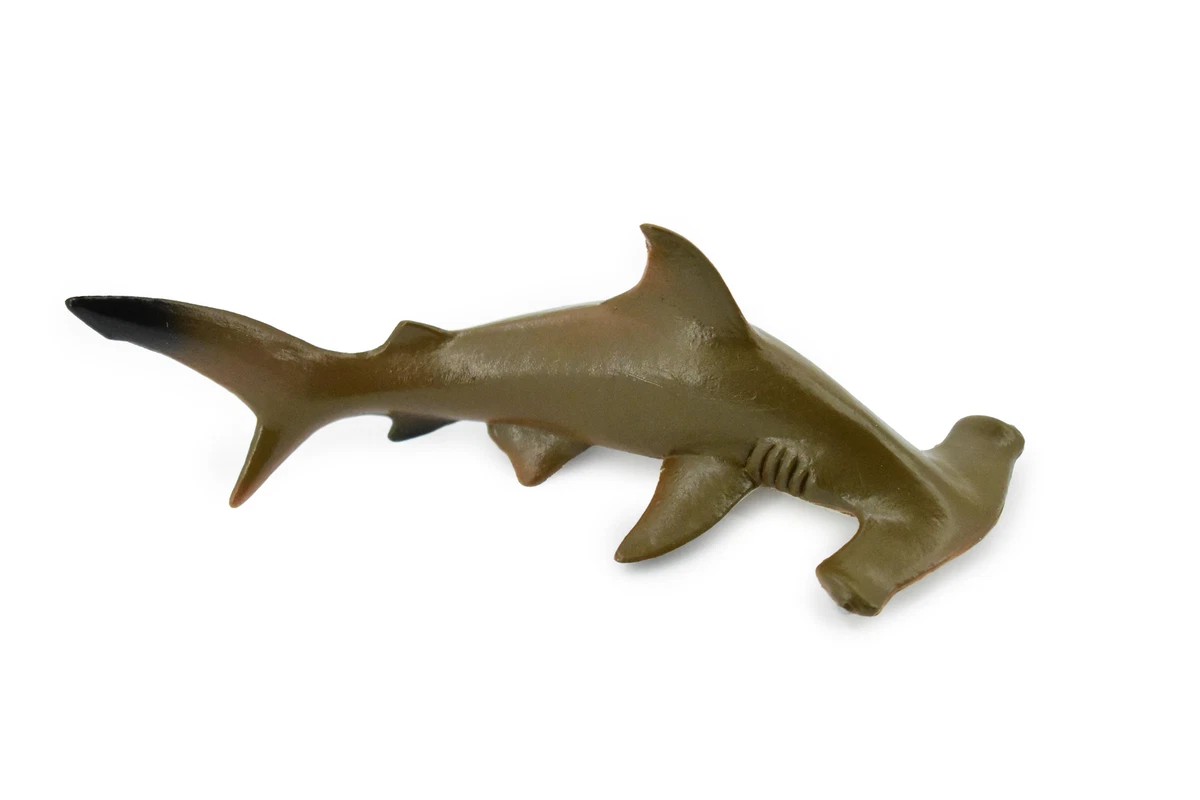 Hammerhead Shark Toys