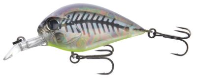 Team Cormoran Bone Crank 5,2cm / 9g Bone Crank Tamamushi Wobbler | eBay.de