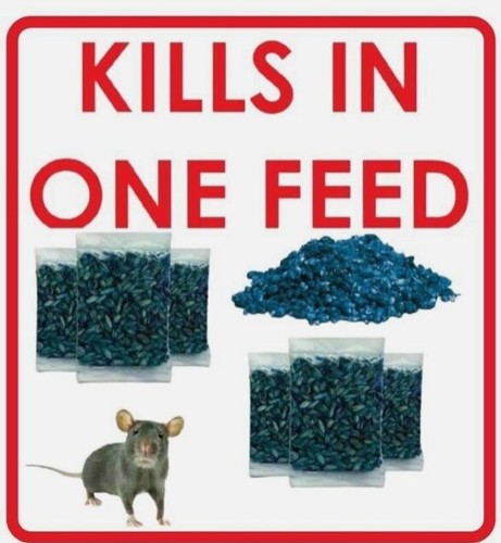 RAT MOUSE POISON BAIT MAX STRENGTH RODENT KILLER GRAIN KILLS IN SINGLE ...