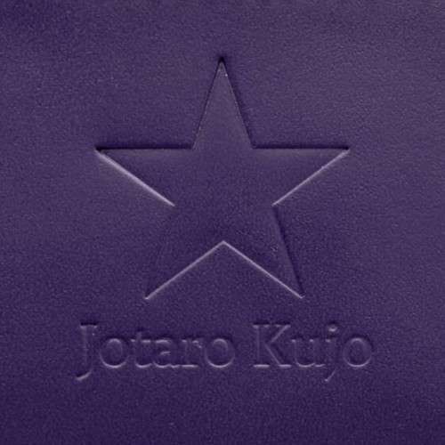 PSL JoJo's Bizarre Adventure Stone Ocean Leather Coin case with pass ...
