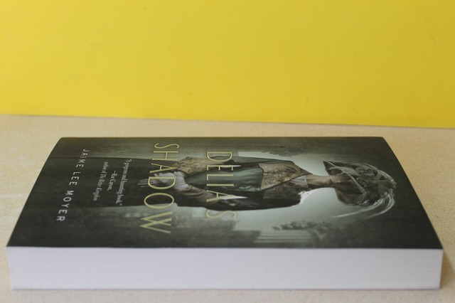 Delia Martin Ser.: Delia's Shadow by Jaime Lee Moyer (2014, Trade ...