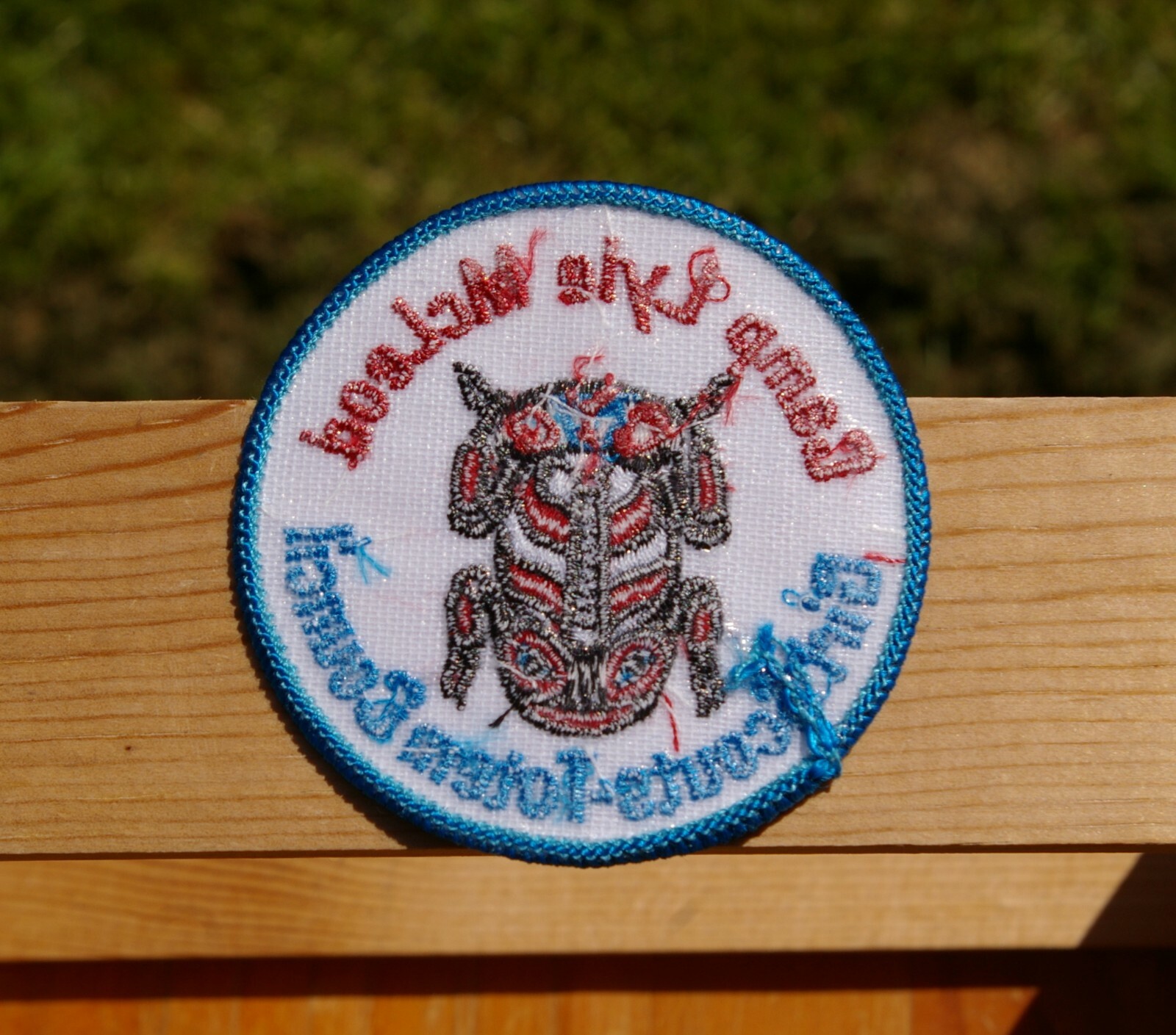 Camp Lyle McLeod Girl Scouts Totem Council 3" Embroidered Patch | eBay