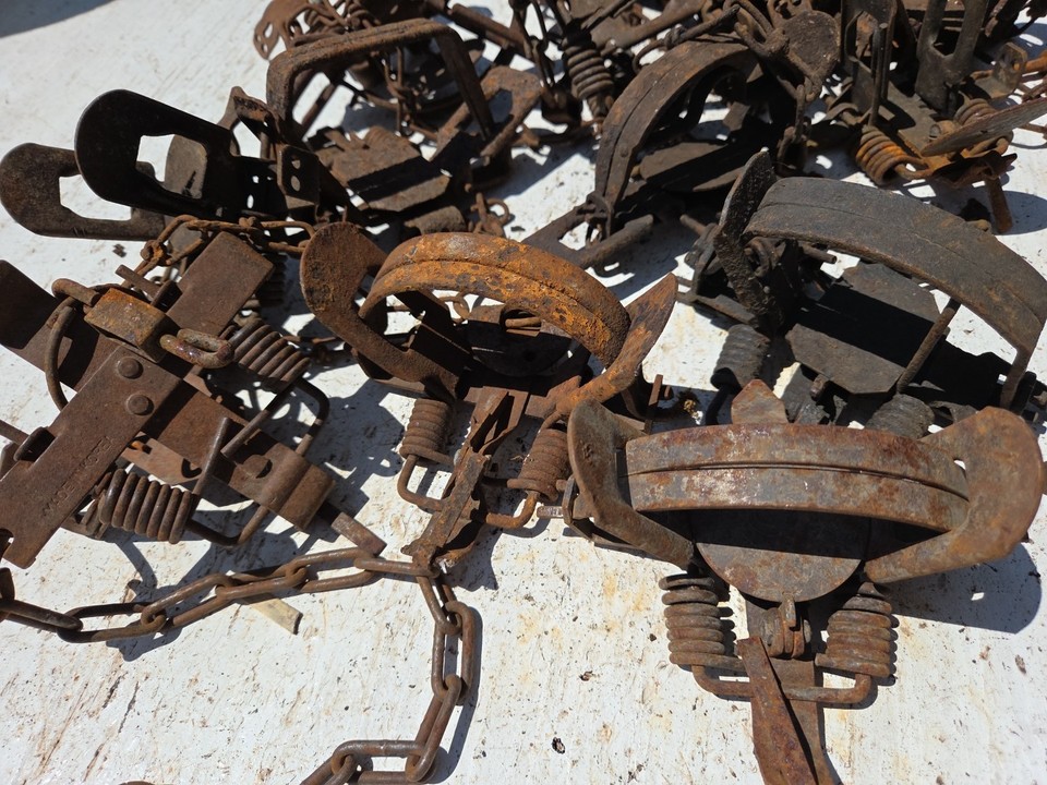 Parts Repair Lot Victor Montgomery 1 1/2 Coil Spring Traps Trapping ...