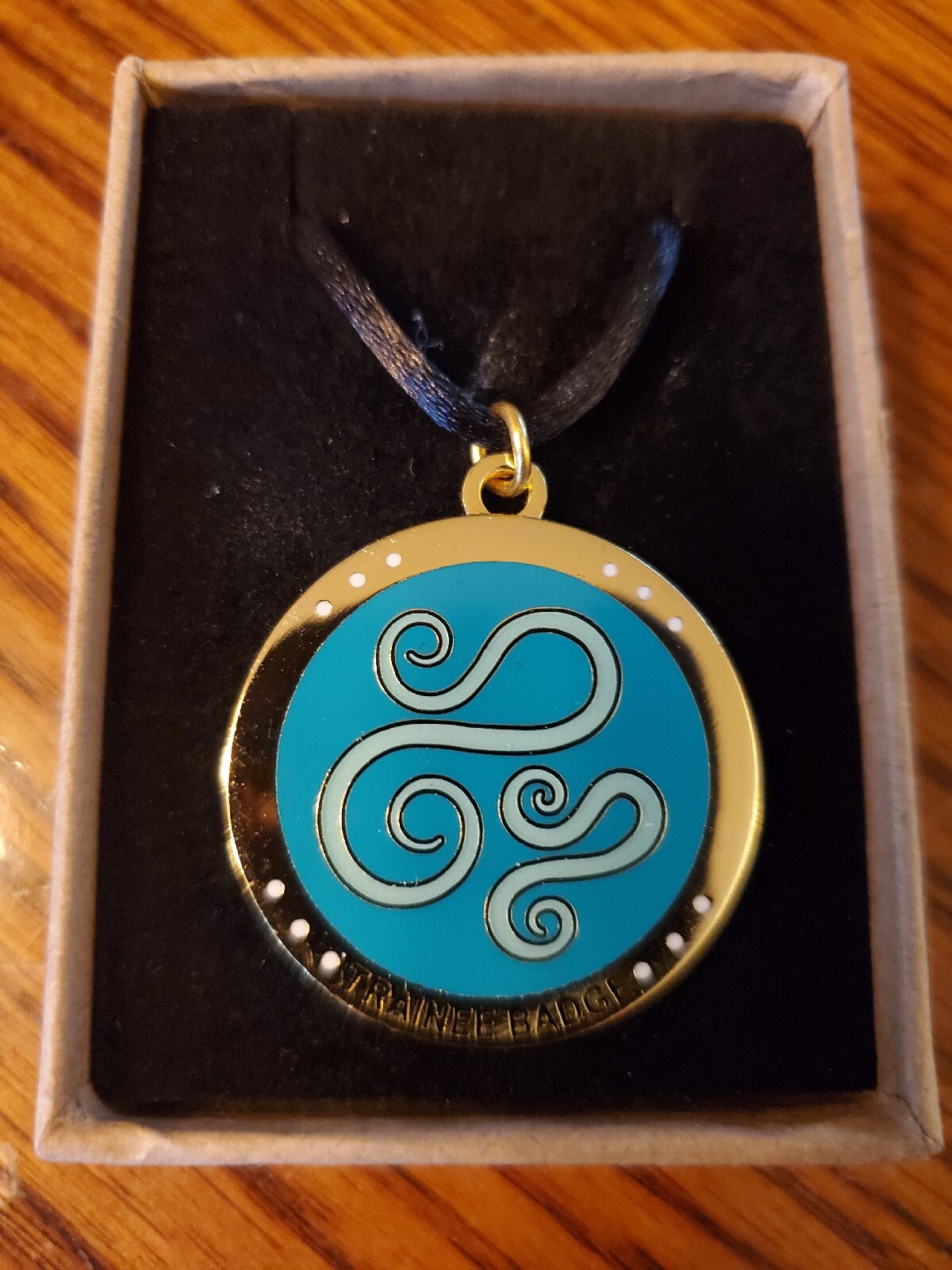 Owlcrate Jr. Trainee Badge Enamel Pendant inspired by Amari & the Night ...