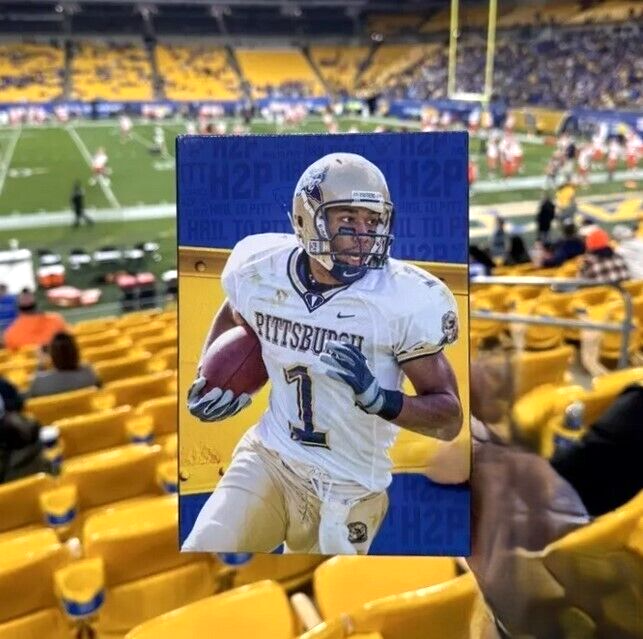 Pittsburgh Larry Fitzgerald Bobblehead 10/24/24 SGA GO PITT ...