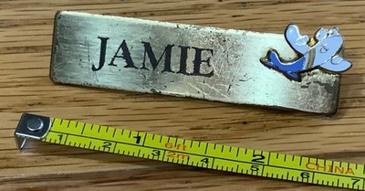Vintage Valujet Airlines Flight Attendant Stewardess Wings Name Tag ...