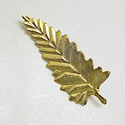 Vintage Pressed Goldtone Long Leaf or Fern Frond Pin/Brooch 2 3/8" | eBay