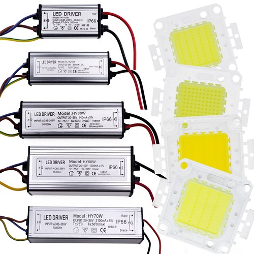 10W 30W 50W 70W 100W LED COB Chip Beads Bulb High Power Driver Supply ...