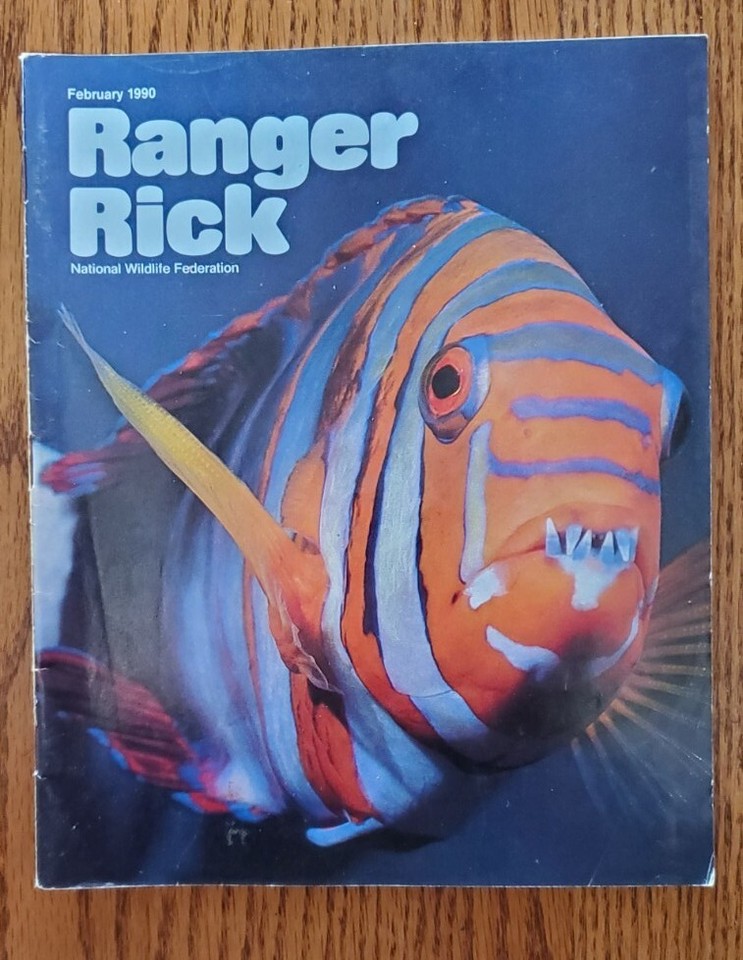 Lot of 12 Vintage Ranger Rick Magazines 89,90,91 National Wildlife ...