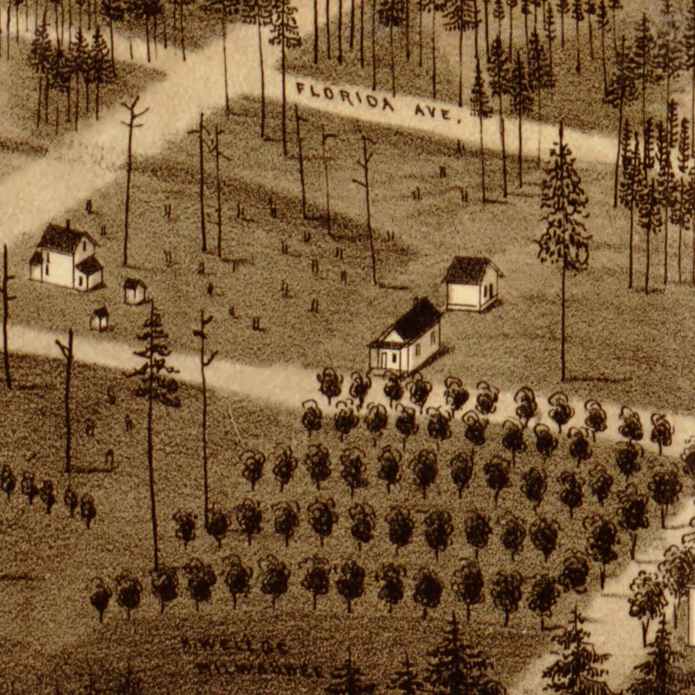 DELAND City MAP Volusia County Florida circa 1894 - Vintage Reprint Art ...