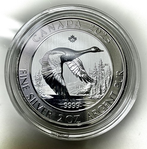 2025 Canada Goose 2 oz 0.9999 BU Silver Coin in capsule | eBay