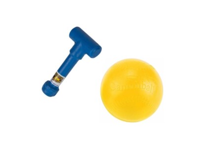 WRIST SNAPPER + CANNONBALL Fastpitch Softball Pitching Training Aids | eBay