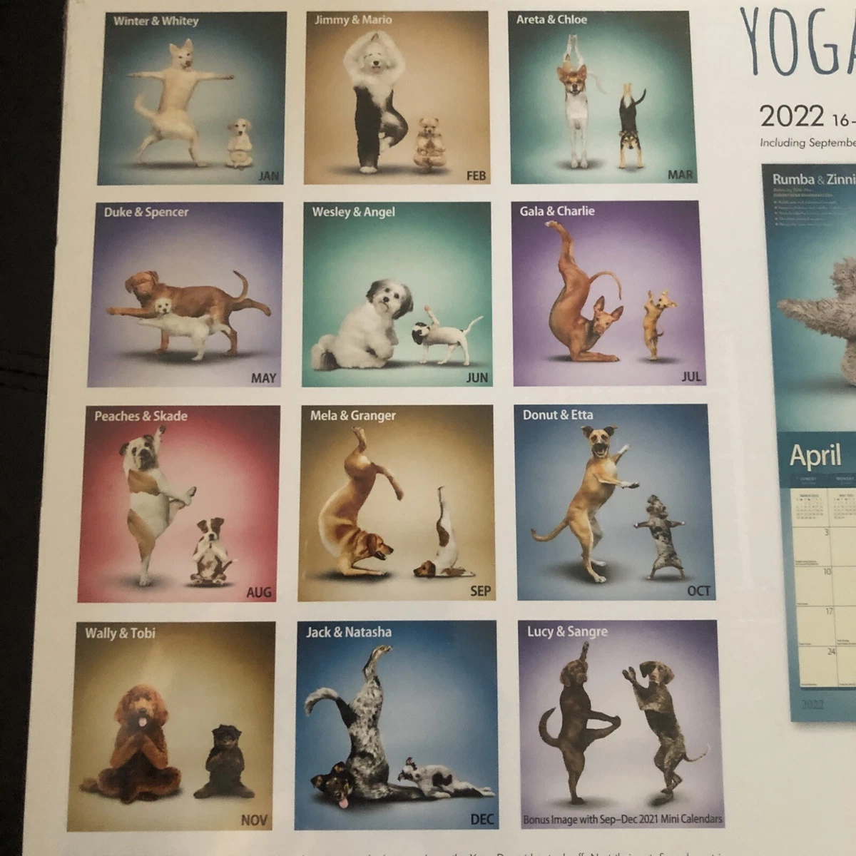 Dog Yoga Calendar 2022