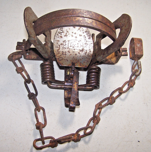 Duke # 2 CS Coil Spring Trap Coyote Bobcat Fox Lynx Trapping | eBay