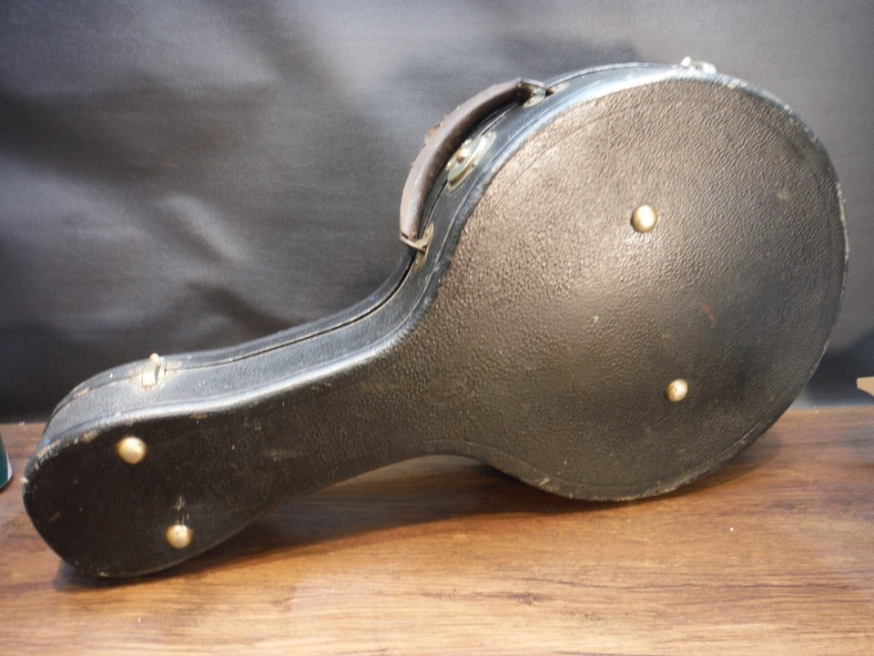 1920s-40s Bull's Head Banjo Mandolin Banjolin Case | eBay