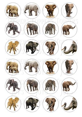 24 ELEPHANT ELEPHANTS CUPCAKE TOPPER WAFER RICE EDIBLE FAIRY CAKE BUN ...