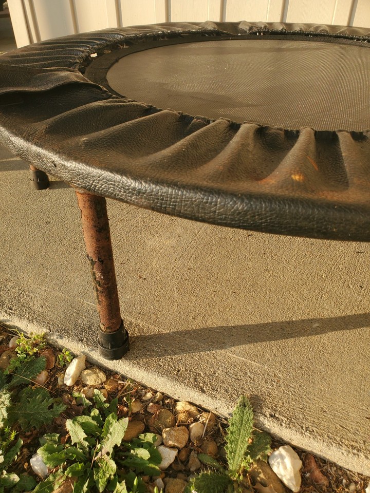 Vintage Bi-Fold Cellerciser® Mini Trampoline/Rebounder, W/ Case ...