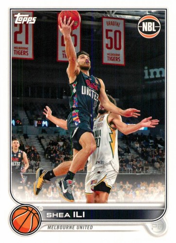 2022 2023 Melbourne United NBL Basketball Topps Card - Shea Ili | eBay