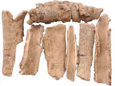 Lodhra Bark,Pathani Lodh Symplocos Racemosa Roxb Indian Raw & Whole ...